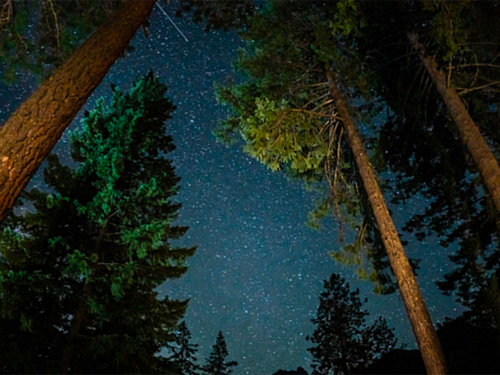 Photo Contest - Lake Chelan Chamber of Commerce